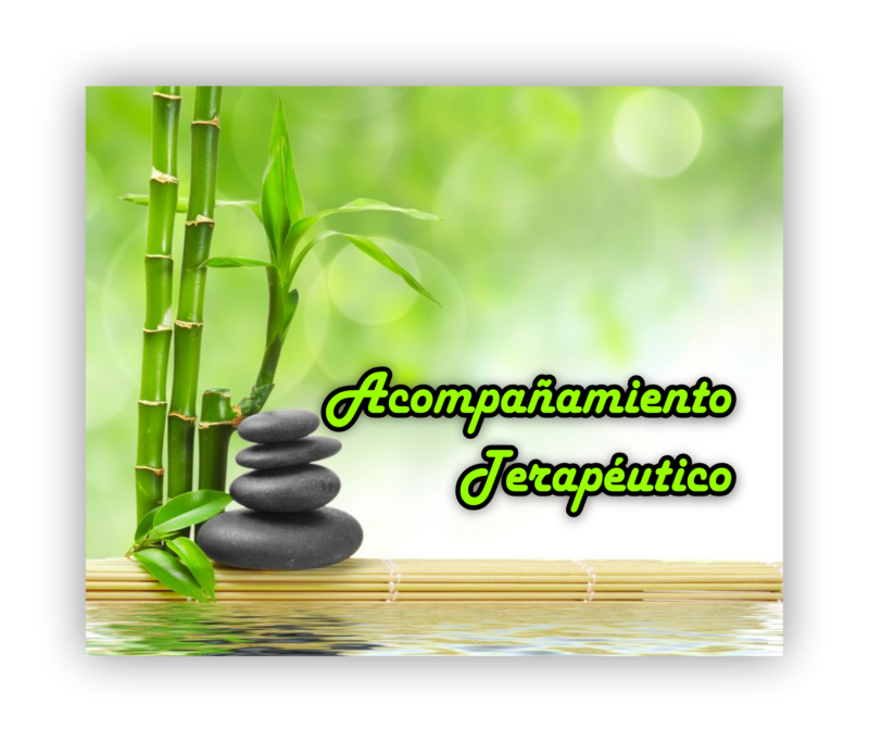 Acompañamiento Terapéutico Heriberto Bluhm
